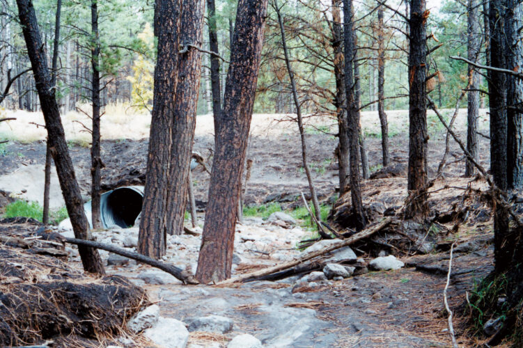 Culvert Installation: All You Need to Know – Mother Earth News